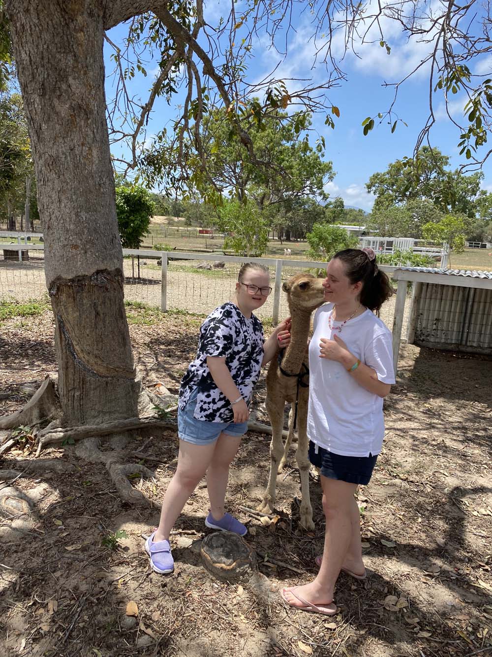 Gallery of Bentley Farm - Disability Support and Respite - Townsville